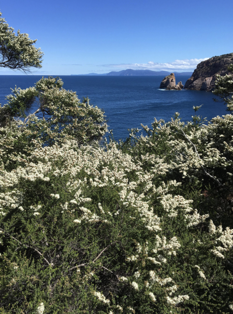 Maria Island - Maria Island Walk