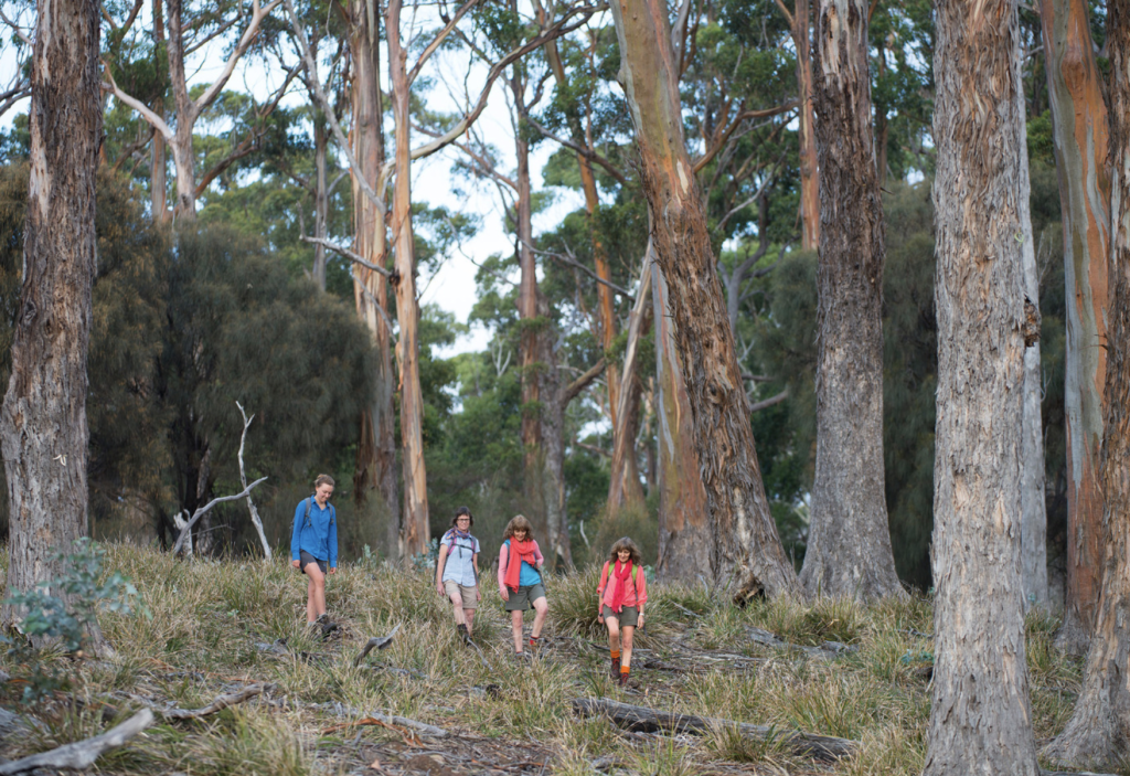Maria Island - Maria Island Walk