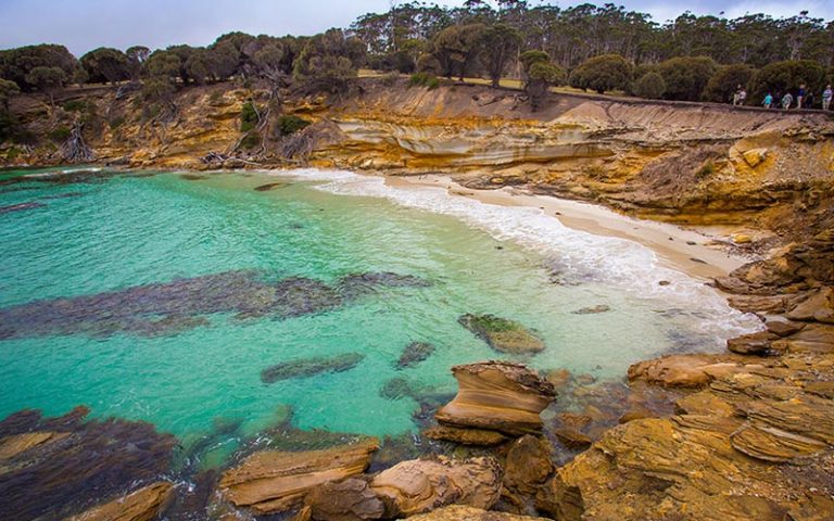 Maria Island - Maria Island Walk